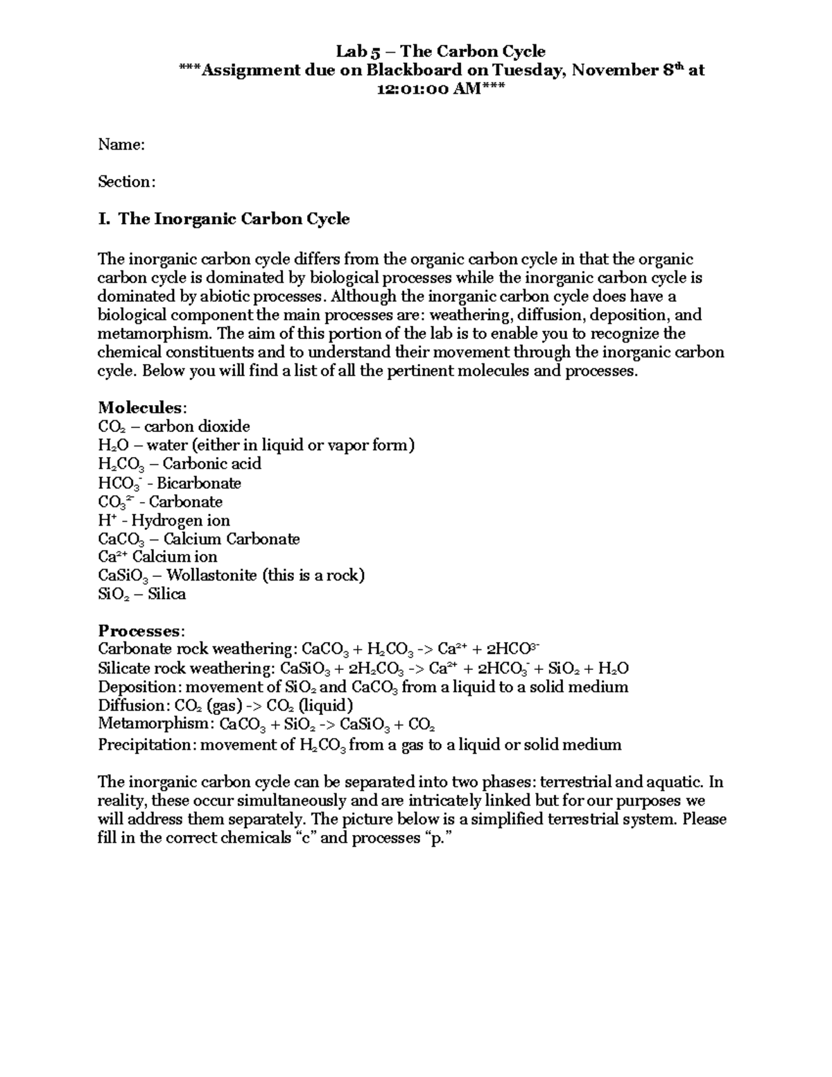 Lab 5-Carbon Cycle - Lab 5 – The Carbon Cycle ***Assignment due on ...