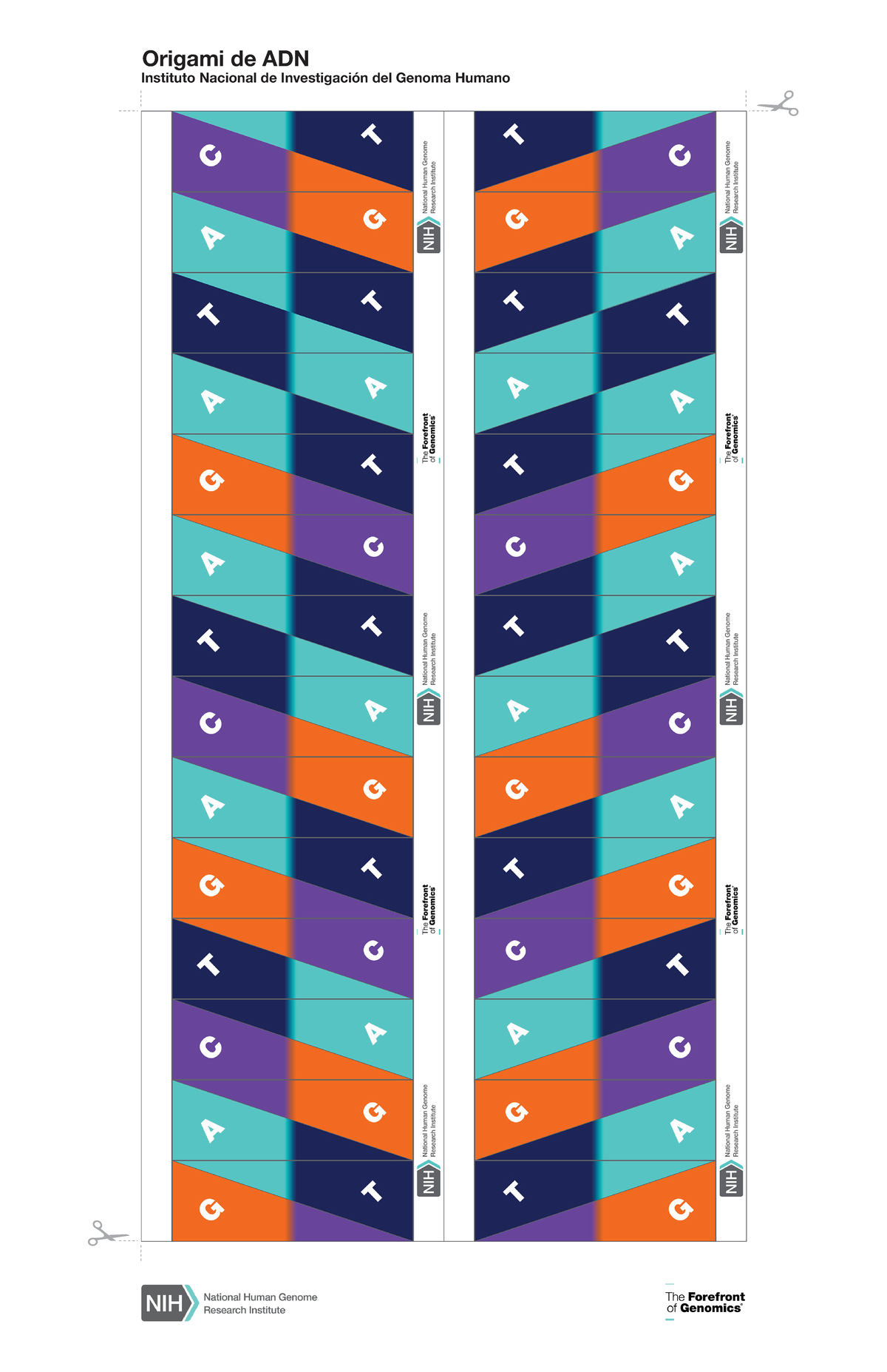 Origami de ADN - Bioloxía - Origami de ADN Instituto Nacional de ...
