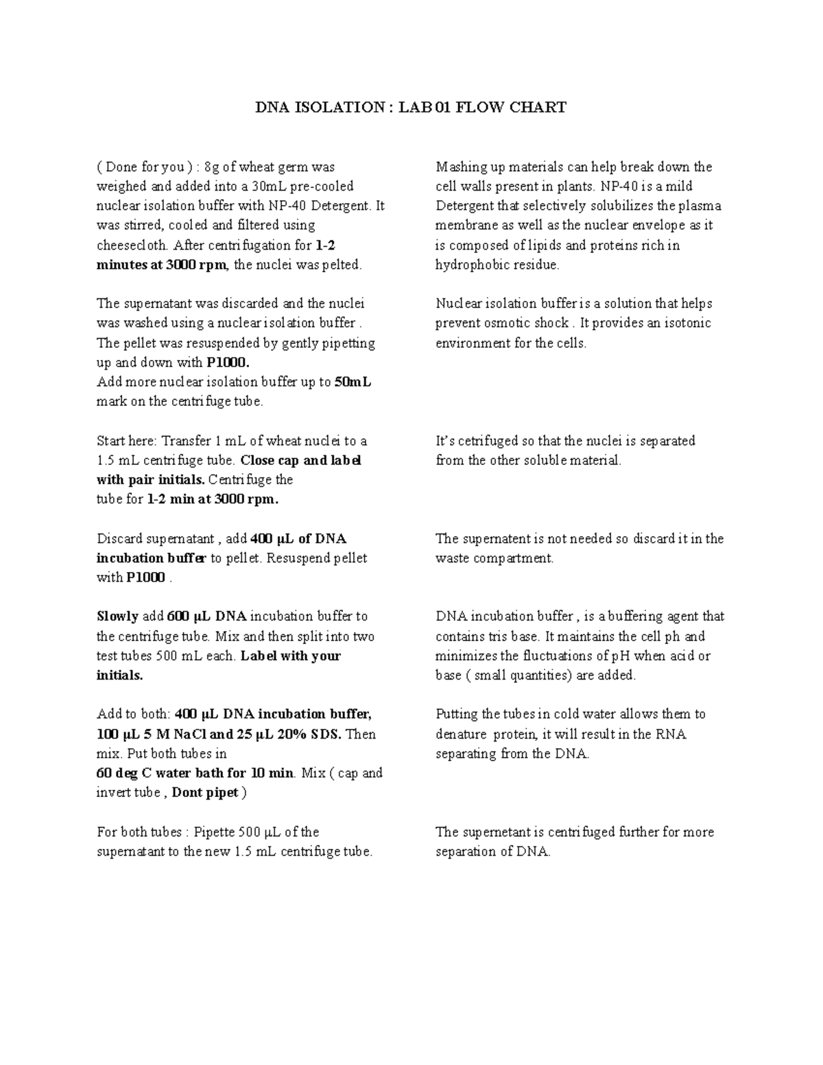DNA Isolation - Google Docs - DNA ISOLATION : LAB 01 FLOW CHART ( Done ...