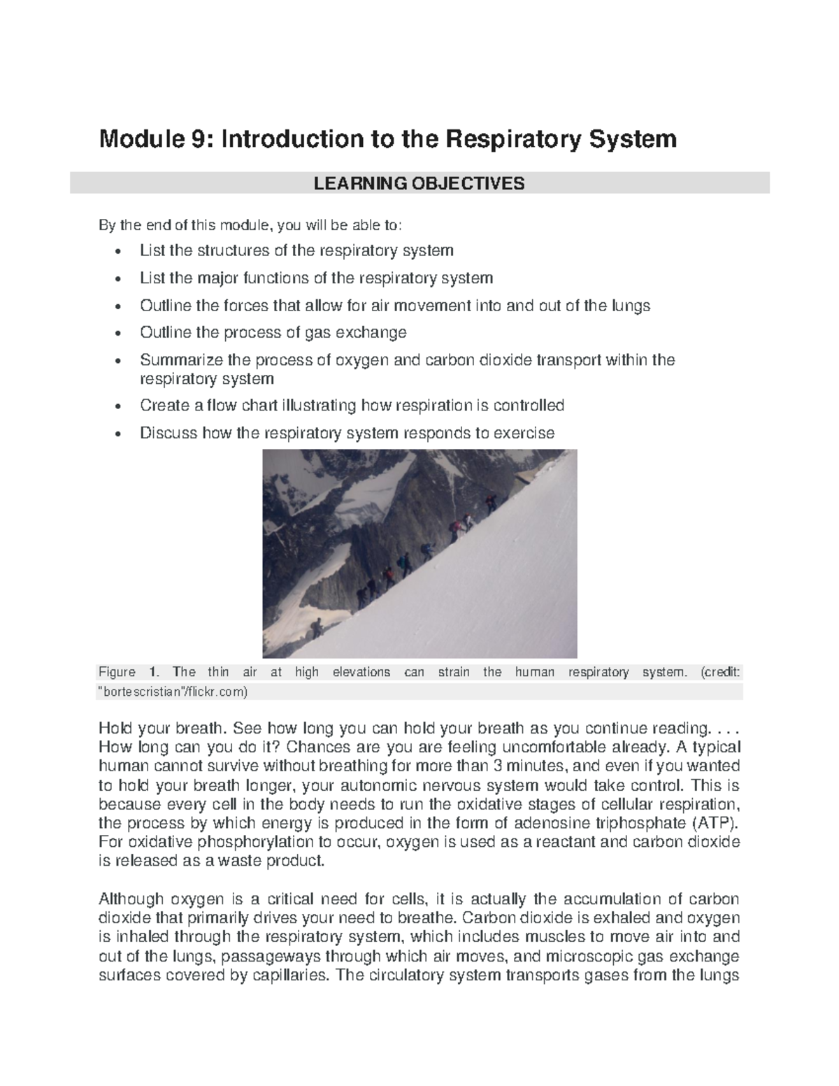 Chapter 9 - Introduction to the Respiratory System - Module 9 ...