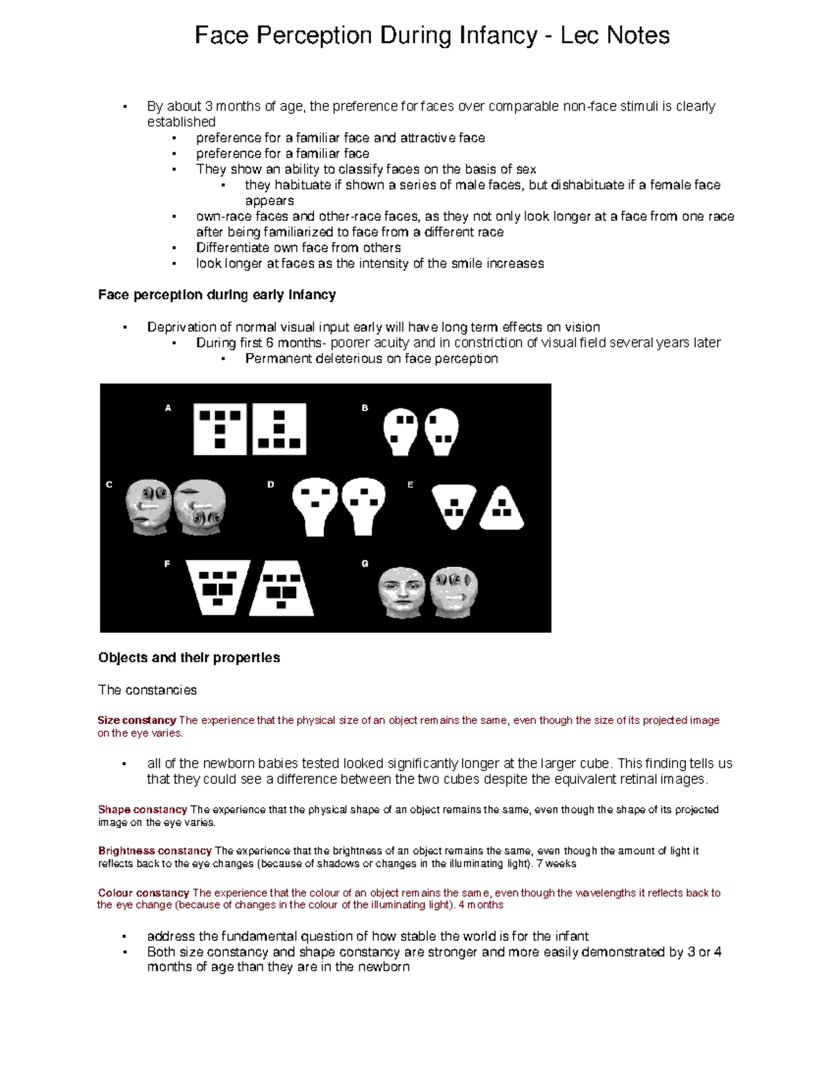 Face Perception During Infancy Lec Notes By About 3 Months Of Agе Thе Prеfеrеncе For Facеs
