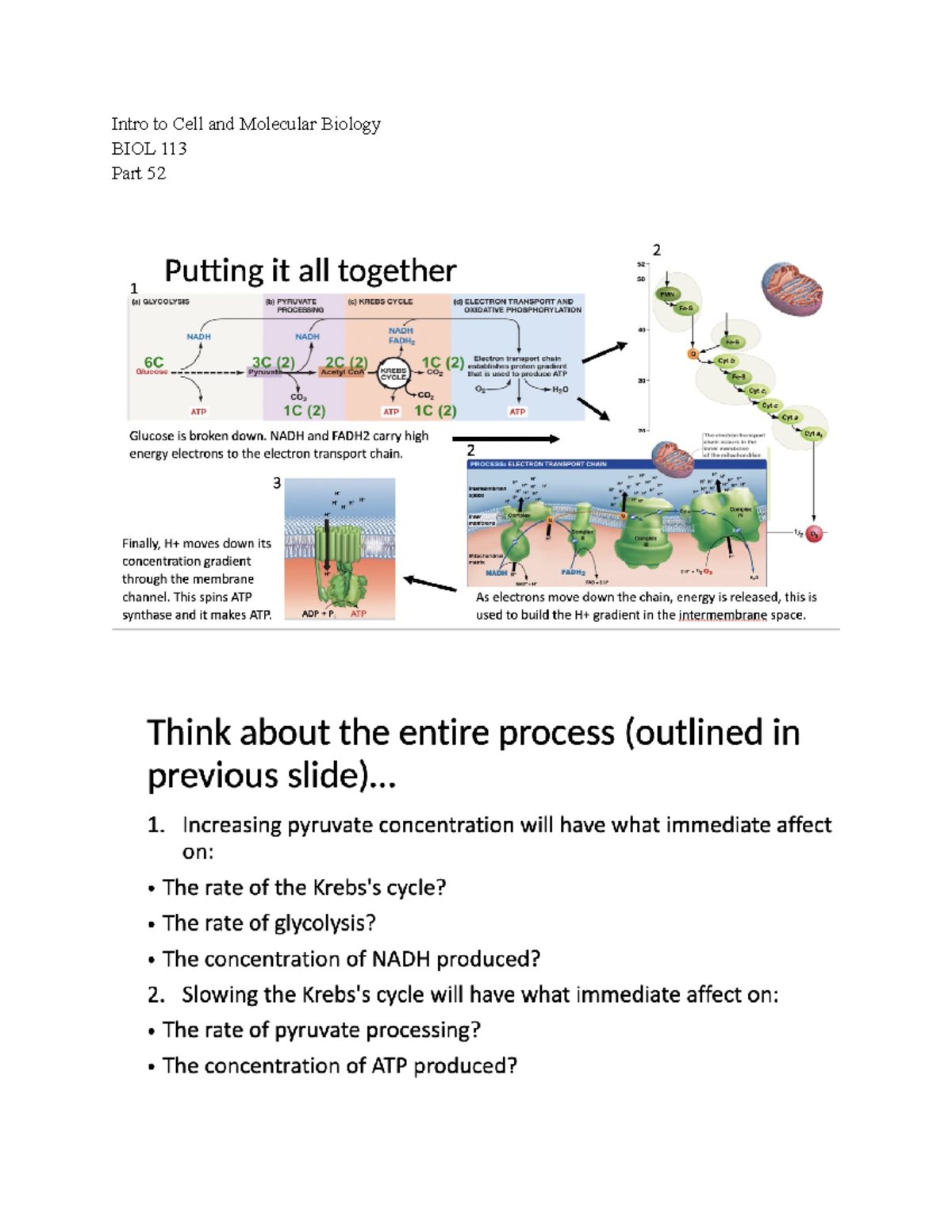 Intro to Cell and Molecular Bio 113 Lecture Notes Part 52 - Dr. Sarah ...