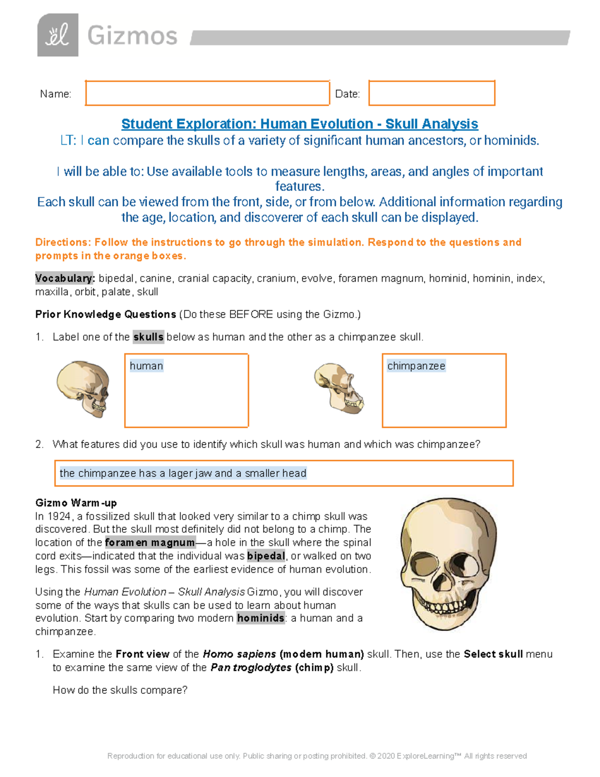 Copy of Human Evolution SE - Name: Date: Student Exploration: Human ...