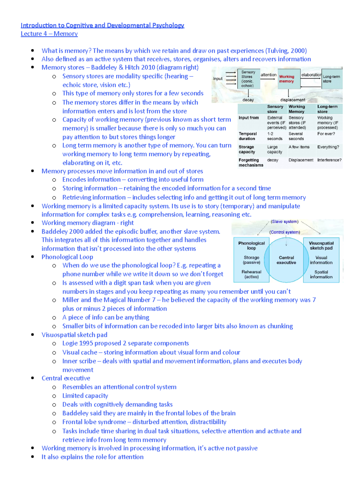 L4 - Memory - Lecture notes 4 - Introduction to Cognitive and ...
