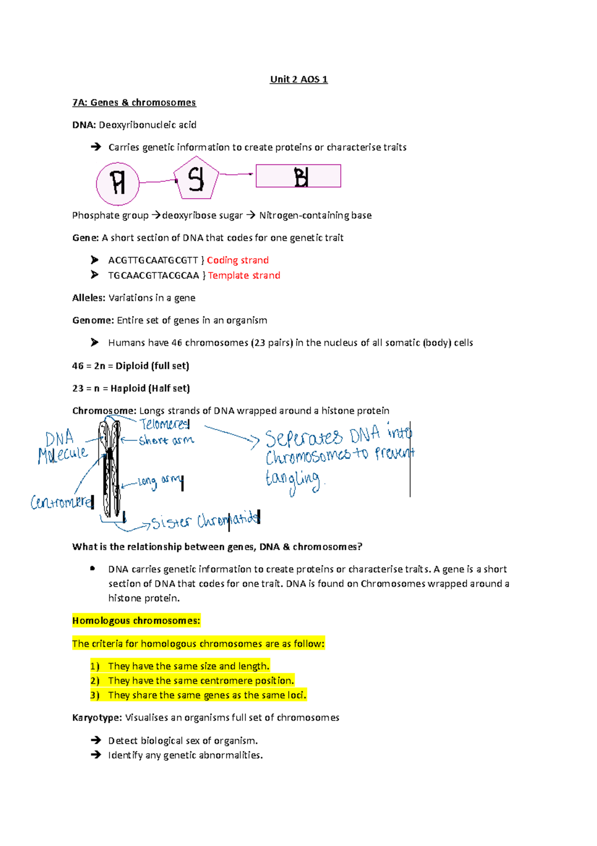 Unit 2 AOS 1 - UNIT 2 AOS1 BIOLOGY REVISION - Unit 2 AOS 1 7A: Genes ...