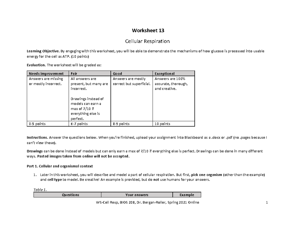 Worksheet 13 - Cellular Respiration - Worksheet 13 Cellular Respiration ...