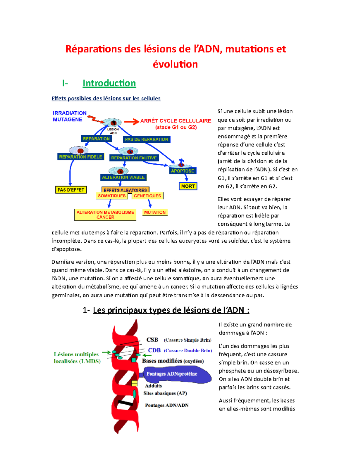 E6cd0018cdbe1c2434b2ea6d9bdc7287638 c3c3c - Réparations des lésions de ...