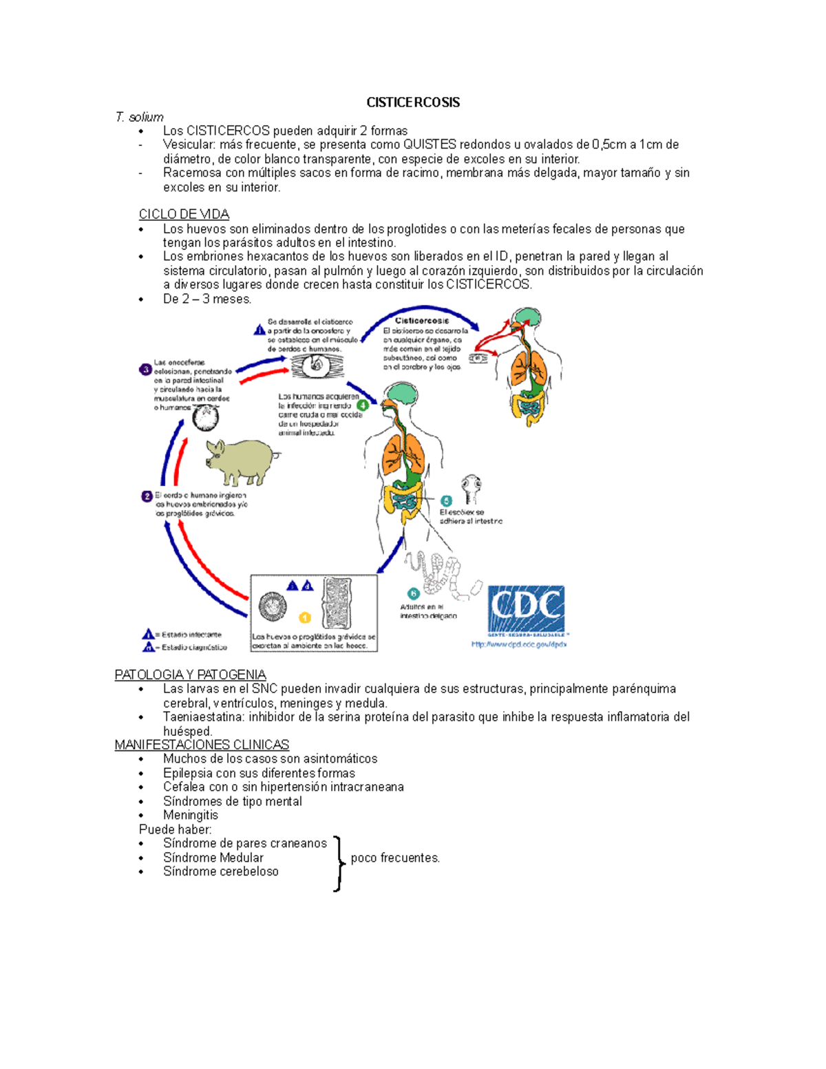 Cisticercosis - Resumen Parasitosis humana - CISTICERCOSIS T. solium ...