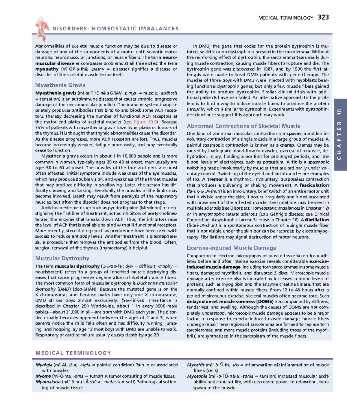 Anatomyand Physiology-119 - C H A P T E R 10 MEDICAL TERMINOLOGY 323 D ...