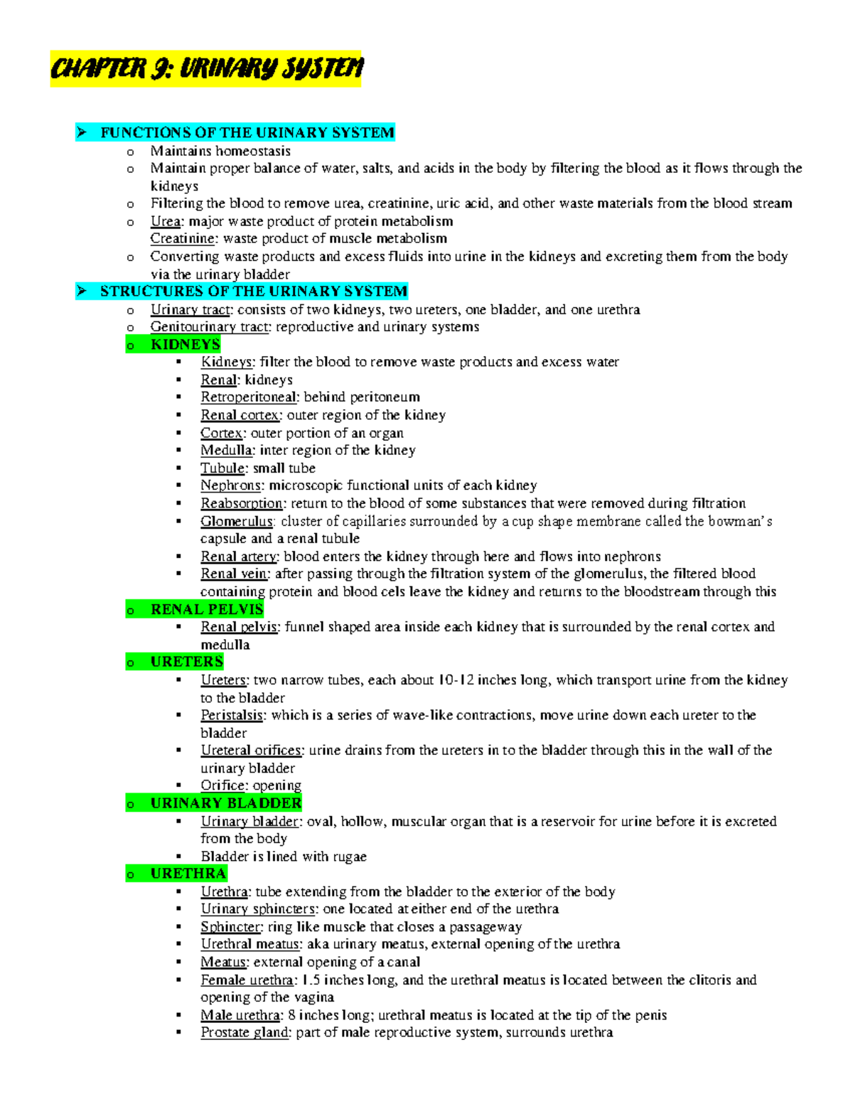 Ch. 9-11 Notes ATR 470 - Lindsey H Schroeder - CHAPTER 9: URINARY ...