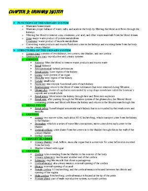 Med. term test 2 - Med term - Combining forms: abdomin/o= abdomen acr/o ...