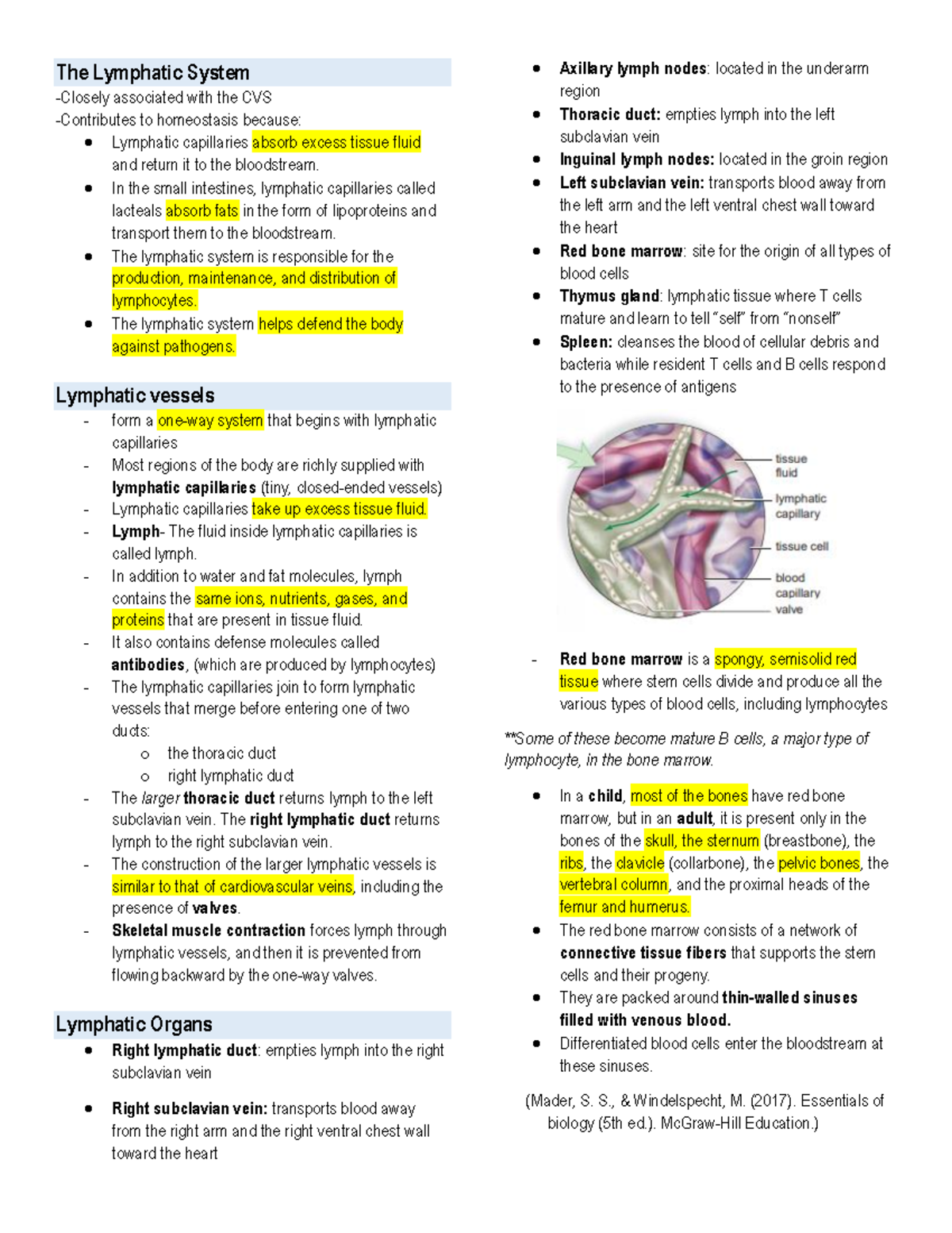 The Lymphatic System - Immunology - La Salle - Dasma - Studocu