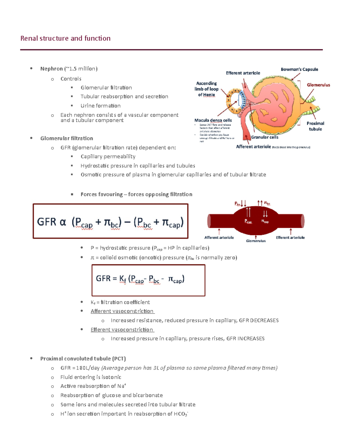 Renal structure and function - Studocu