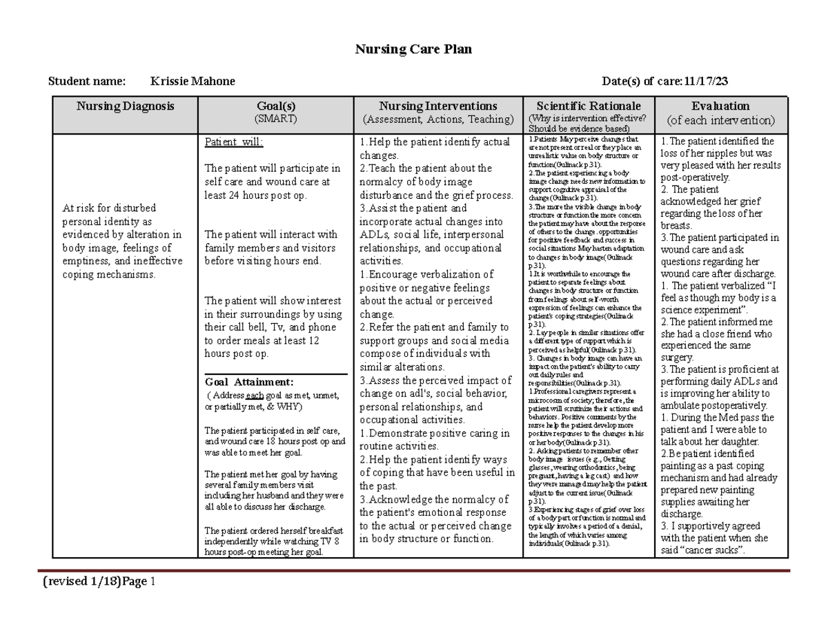 Blank Level 1 Care Plan - desription - Nursing Care Plan Student name ...