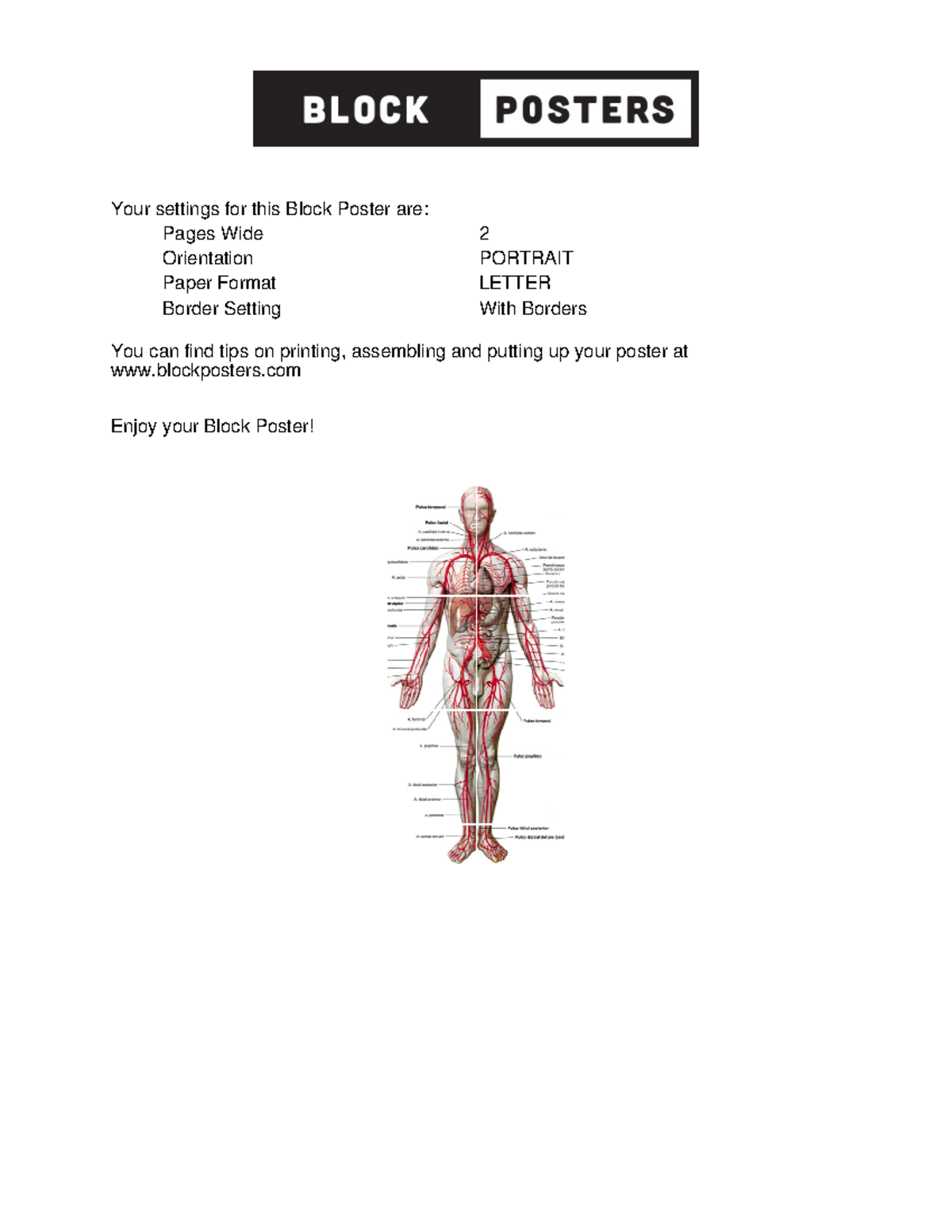 POSTER ANATOMIA ARTERIAS - Anatomia Humana - Your settings for this ...