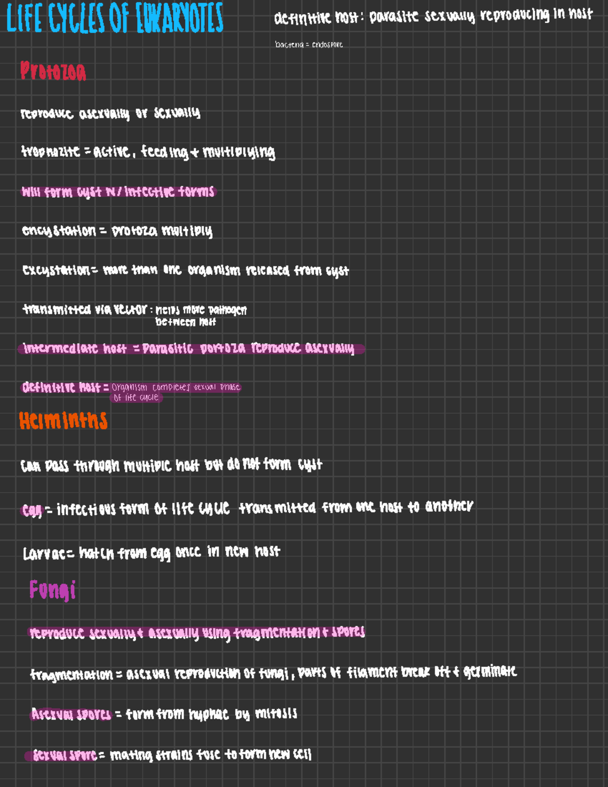 🧬🔬🥼🧪 2 - Notes - LIFE CYCLES Of LUKARYOTES definitive host : parasite ...
