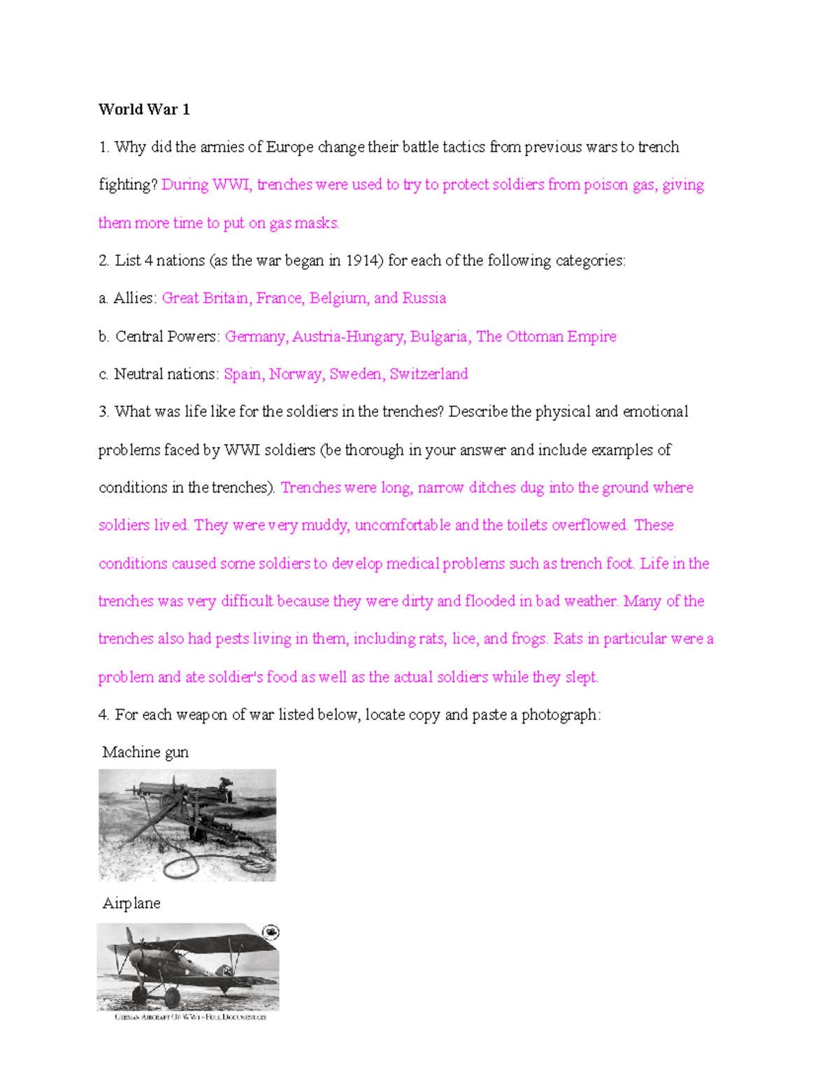 Module 4 Assignment 1 - World War 1 Why did the armies of Europe change ...