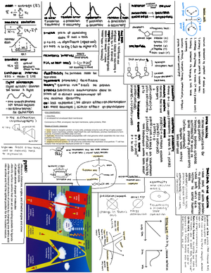Final Study Sheet - Frontiers of Science – Fall 2016 Final Study Sheet ...