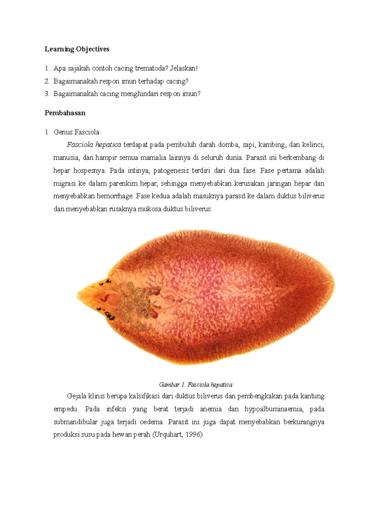 Parasit dan Respon Imun terhadap Parasit - Learning Objectives 1. Apa ...