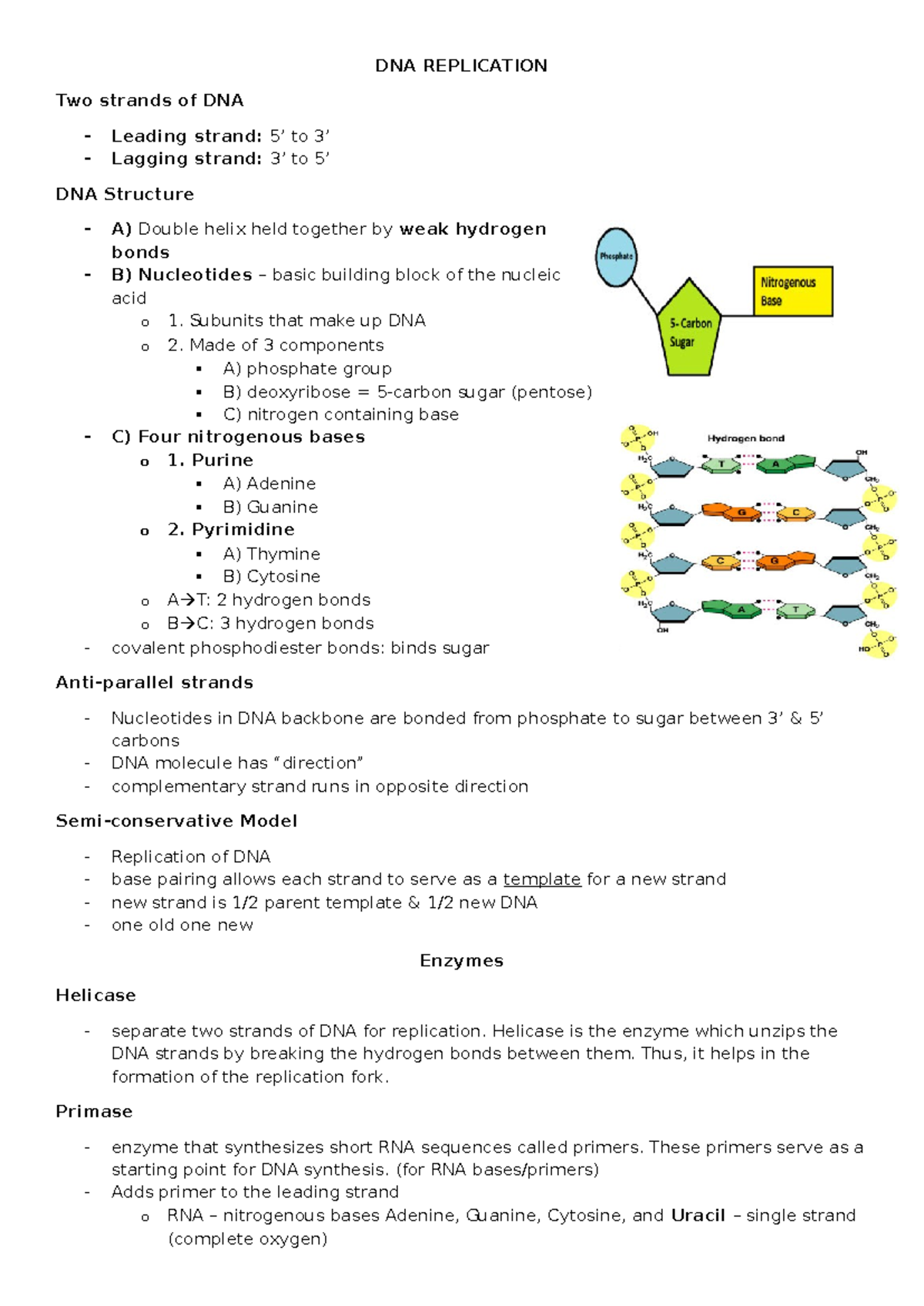 GENERAL BIOLOGY 1 - DNA REPLICATION - DNA REPLICATION Two strands of ...