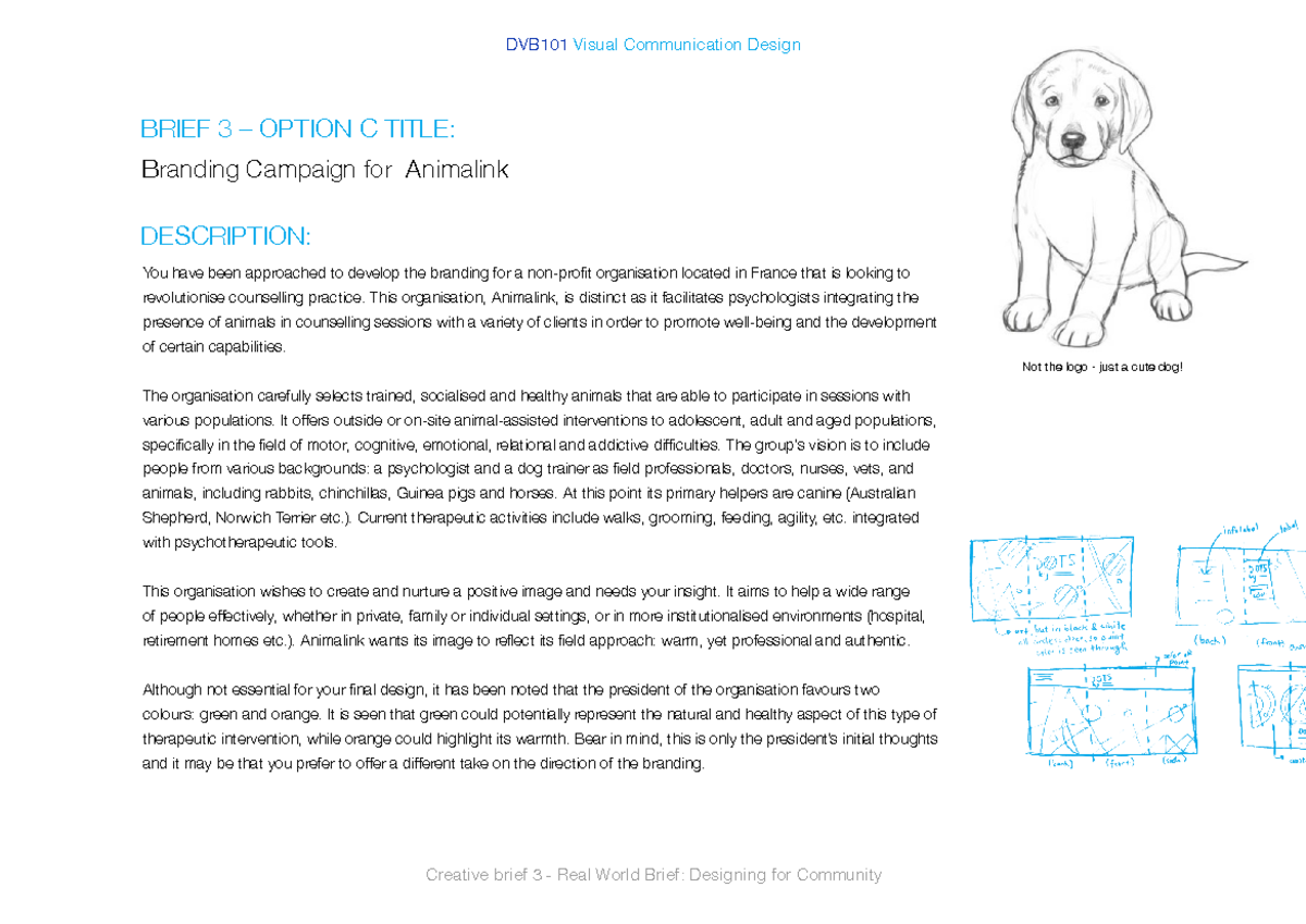 Creative Brief 3C - Animalink-1 - DVB101 Visual Communication Design ...