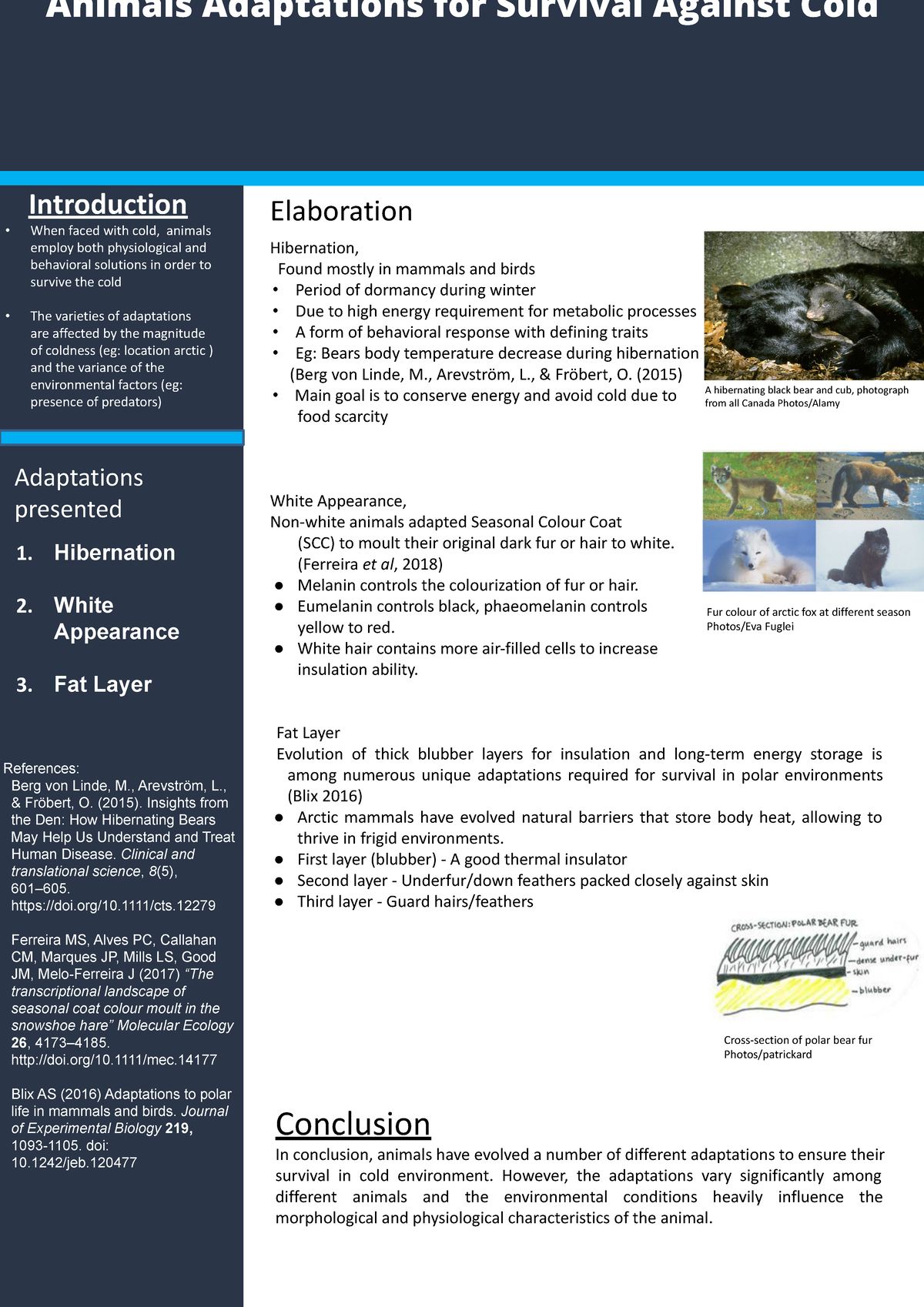 BIO1022 Poster - Title : Animal Adaptations for Survival Against Cold ...