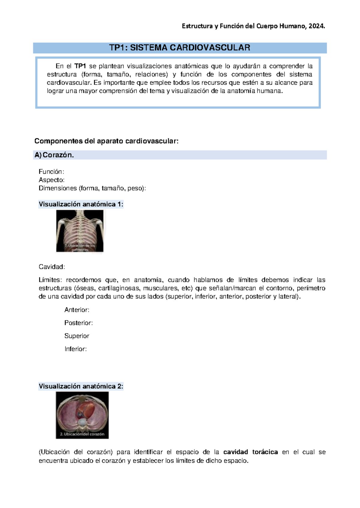 TP1 Sistema cardiovascular - TP1: SISTEMA CARDIOVASCULAR En el TP1 se plantean visualizaciones ...