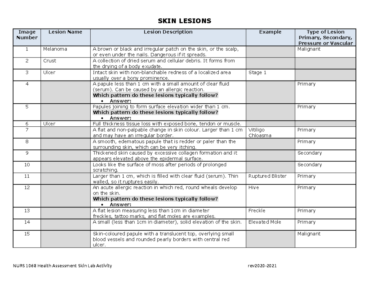 Skin Conditions Summary - SKIN LESIONS NURS 1068 Health Assessment Skin ...
