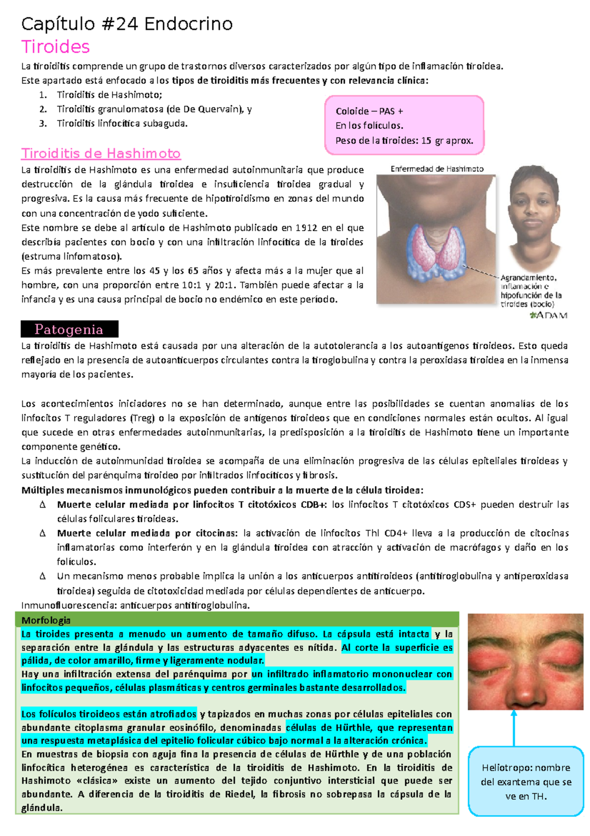PS Capítulo #24 Endocrino - Capítulo #24 Endocrino Tiroides La tiroiditis comprende un grupo de ...