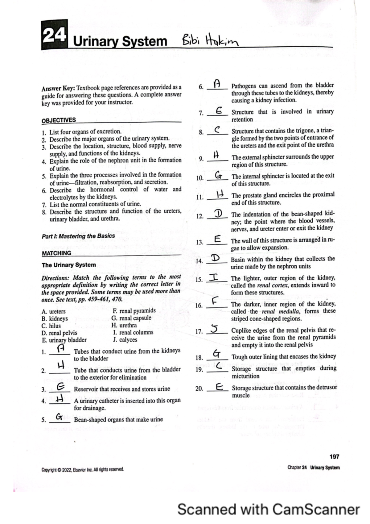 Chapter 24 AP - SLP 320 - Studocu