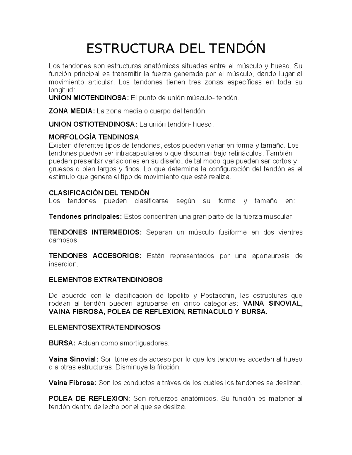 Estructura DEL Tendón - Resumen Anatomia - ESTRUCTURA DEL TENDÓN Los ...