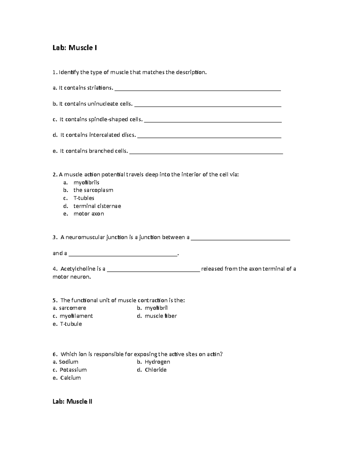 05 Lab Muscle - notes - Lab: Muscle I Identify the type of muscle that ...