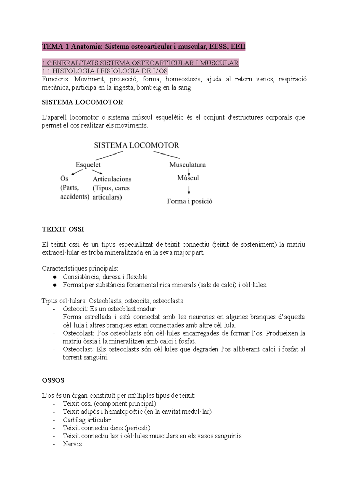 TEMA 1 Anatomia Sistema osteoarticular i muscular, EESS, EEII - TEIXIT OSSI El teixit ossi és un ...