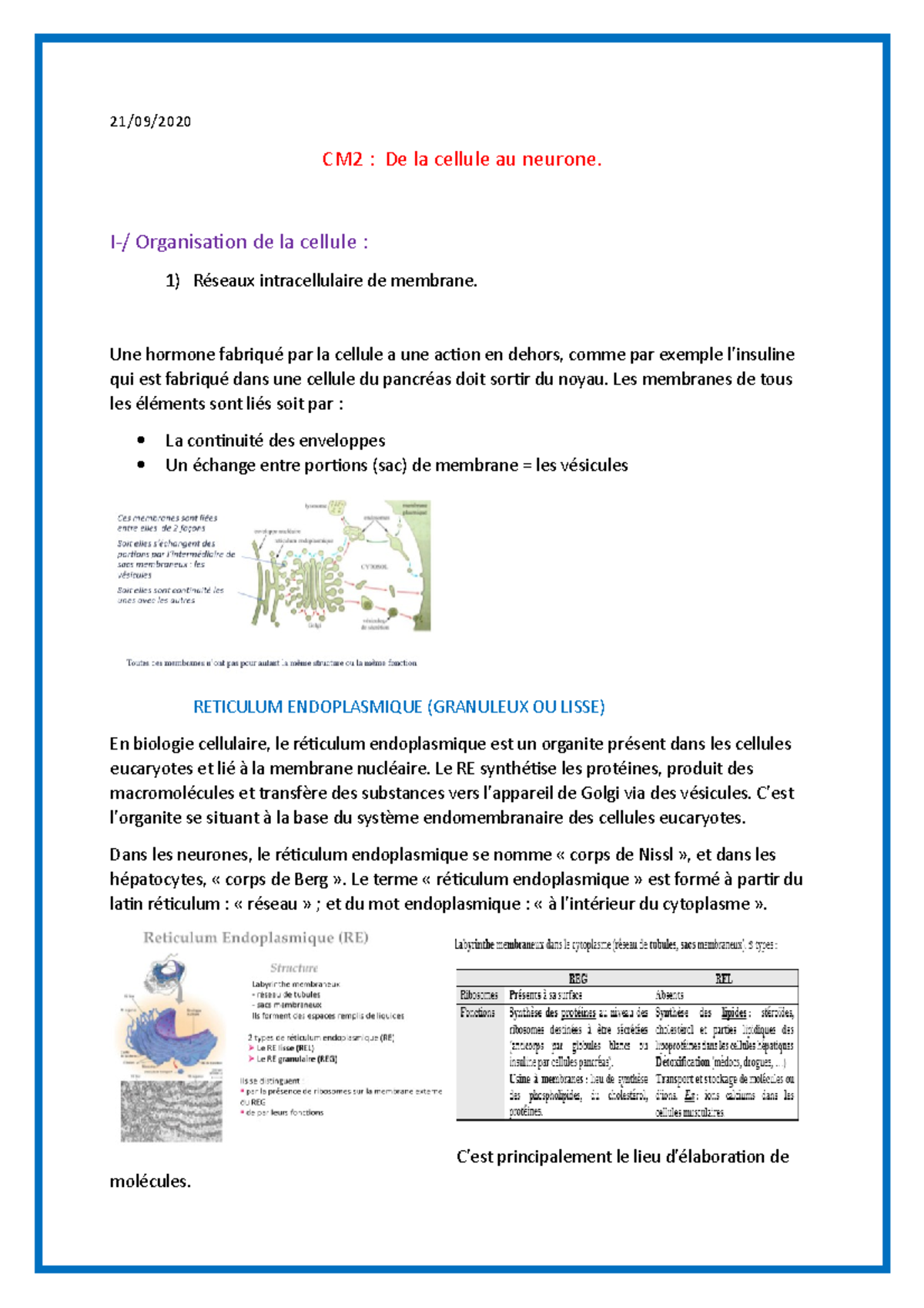 CM2 Neurosciences Licence 1 semestre 1 aix marseille - AMU - Studocu