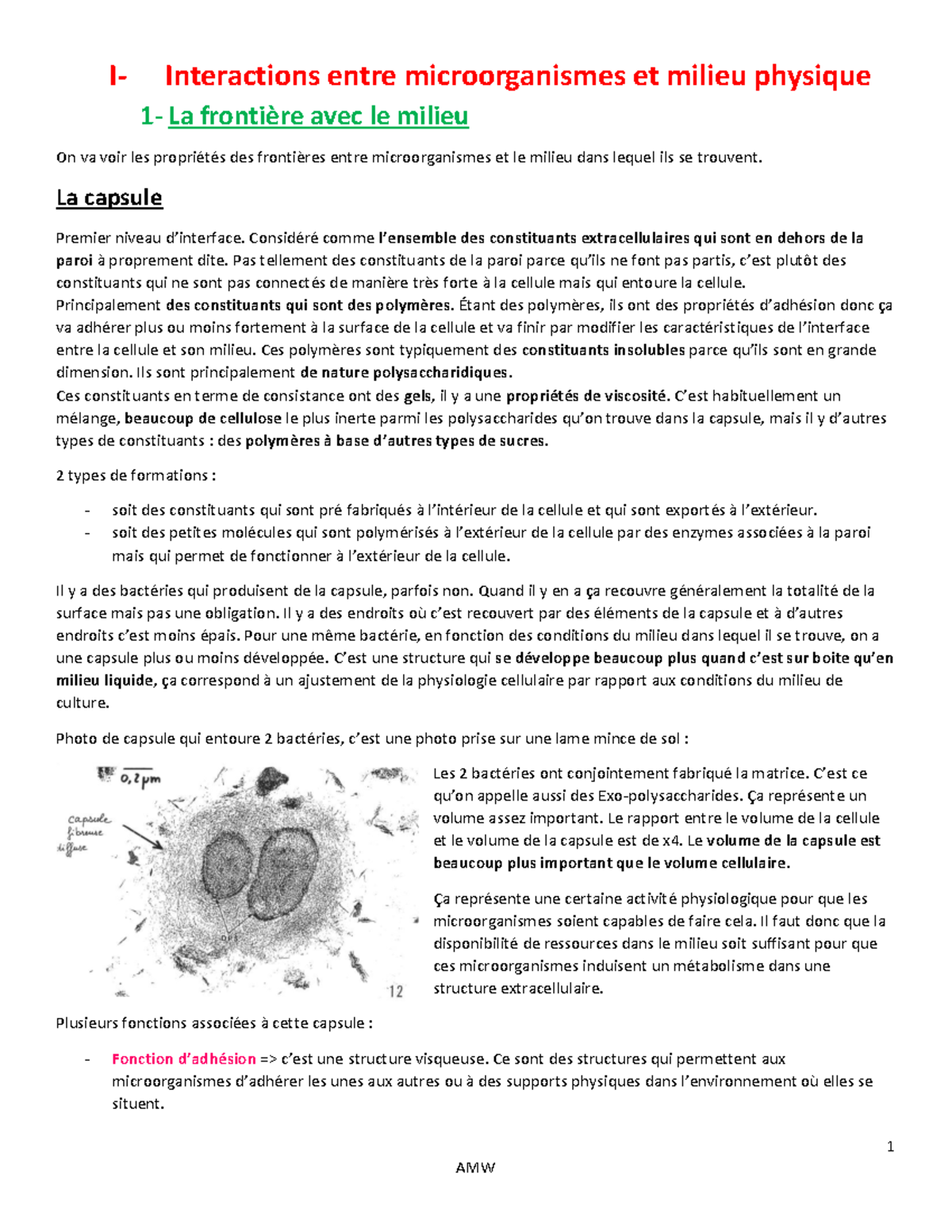 Intérraction microbienne - Interactions entre microorganismes et milieu ...