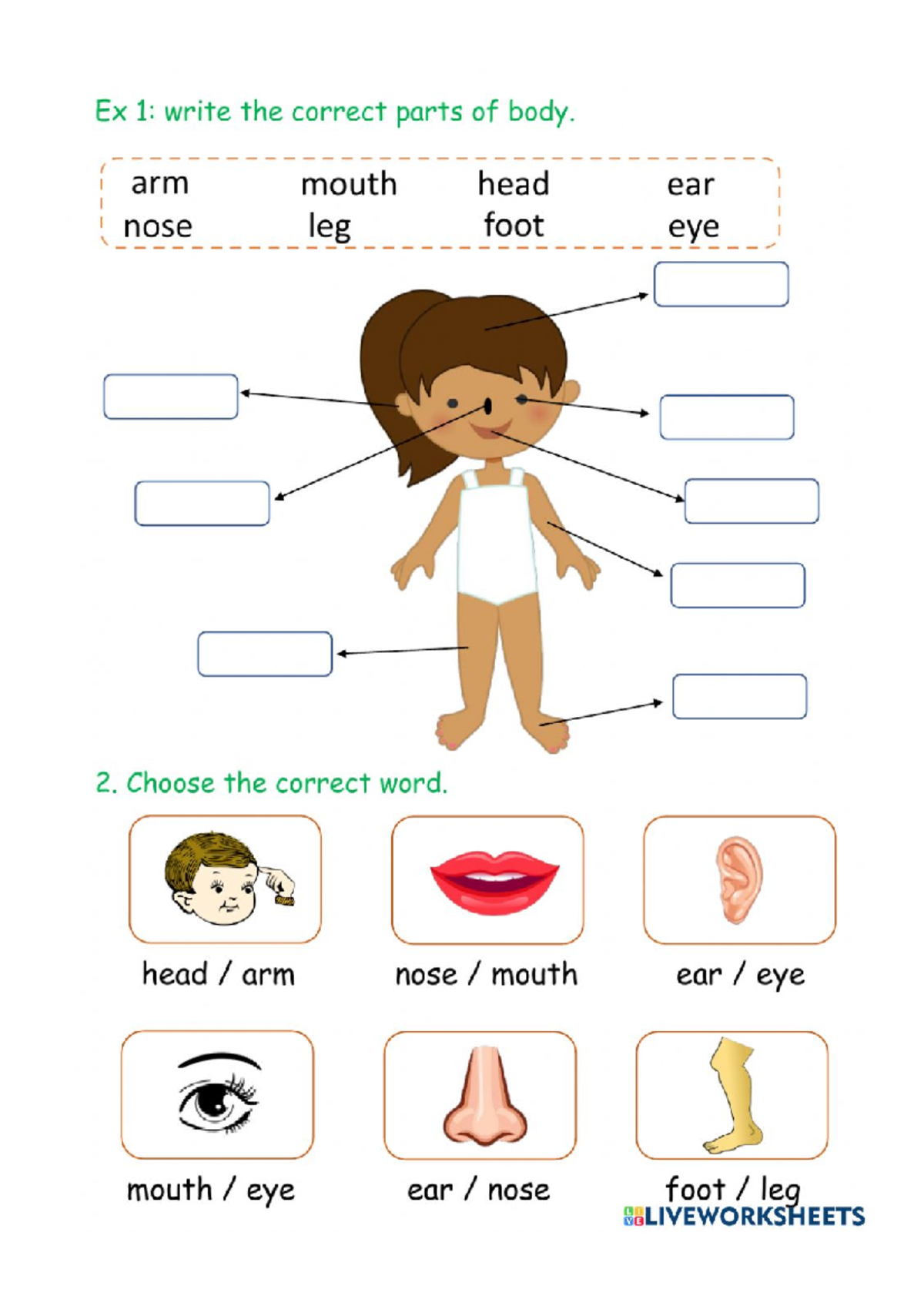 Body parts - ACTIVIDAD LUDICA - Ingles - Studocu