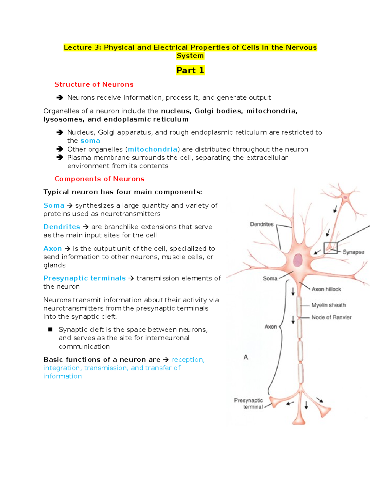 Lecture Notes for Intro to Movement Neuro - Lecture 3: Physical and ...