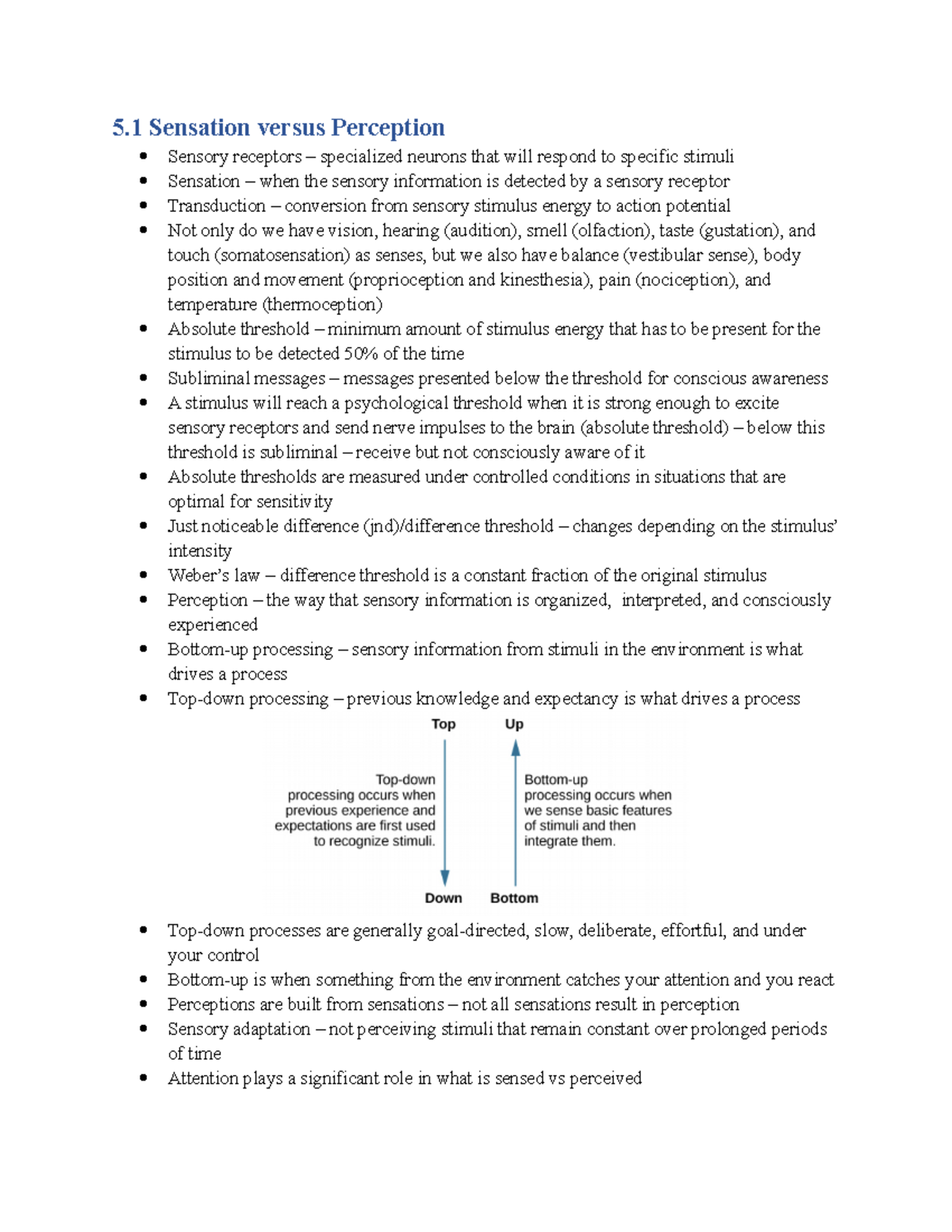 Chapter 5 Notes - Sensation and Perception - 5 Sensation versus ...