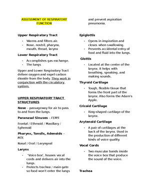 Respiratory System 2 Anaphy - Anatomy 1. Upper Respiratory Tract Nose ...