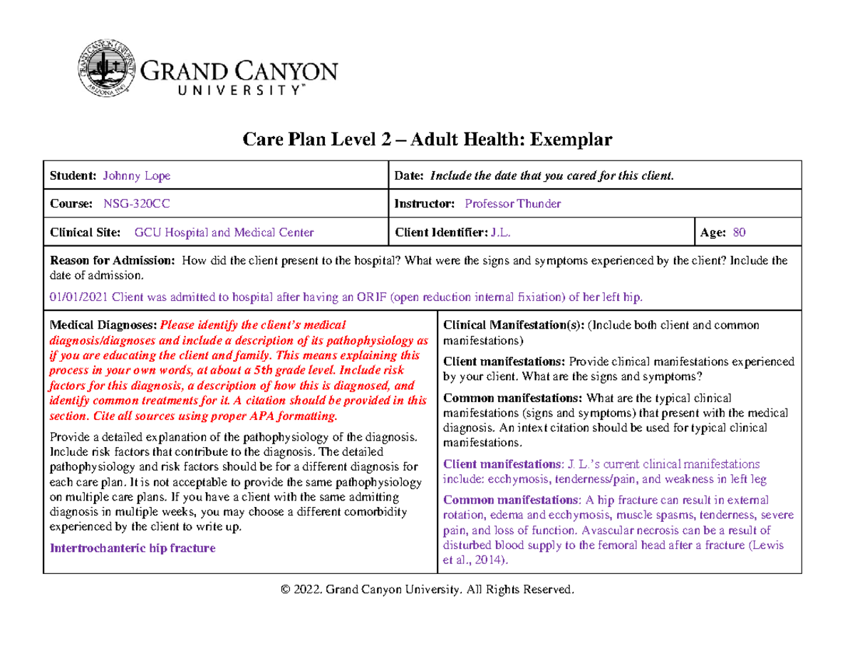 Care Plan Exemplar - © 2022. Grand Canyon University. All Rights ...