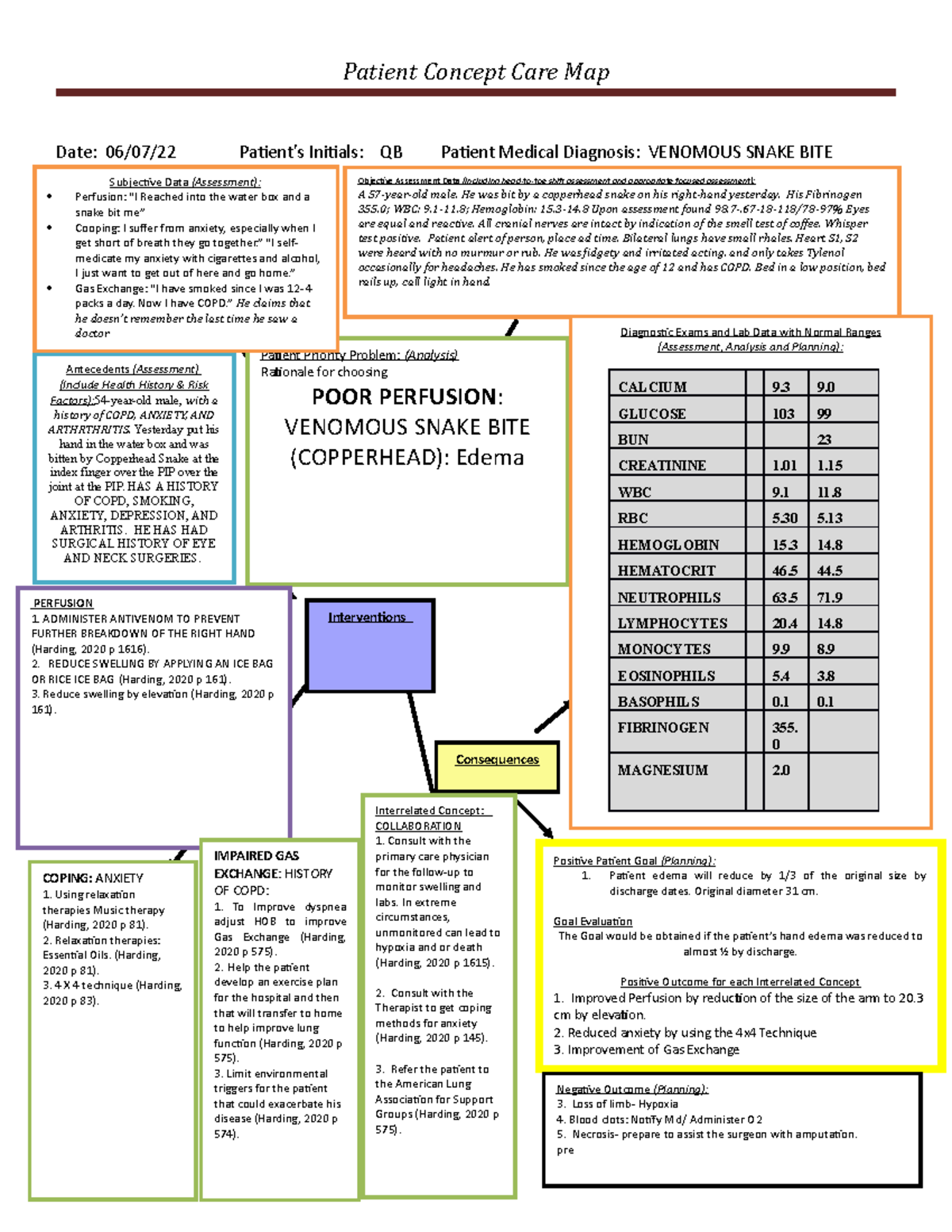 Blank Concept Care Map 2021 rphillips QB-2-1 - Patient Concept Care Map ...