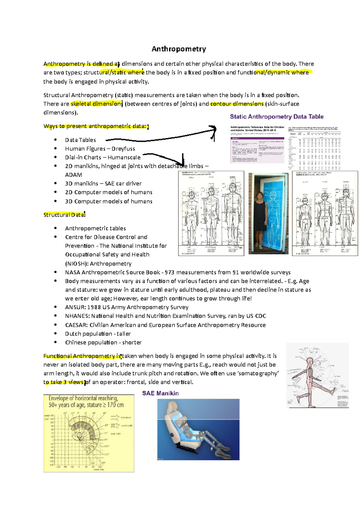 Anthropometry - post lecture notes - Anthropometry Anthropometry is ...