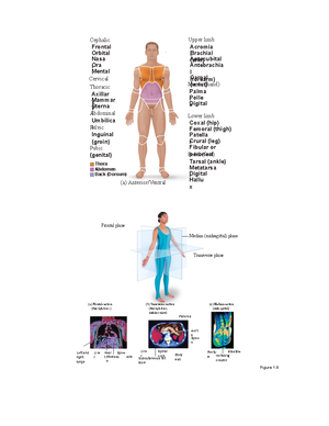 [Solved] microbial nutrition and growth physical and chemical control ...