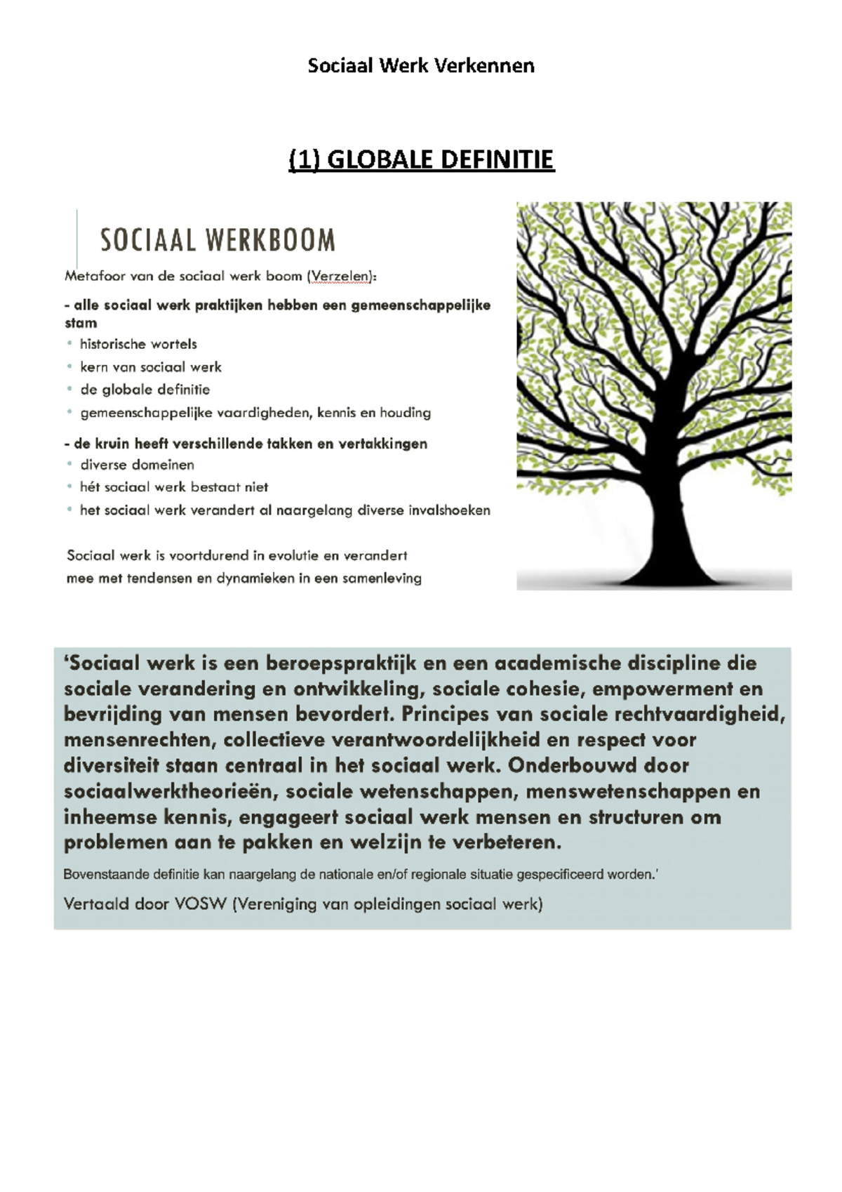 SOW verkennen extra samenvatting - Sociaal Werk Verkennen (1) GLOBALE ...