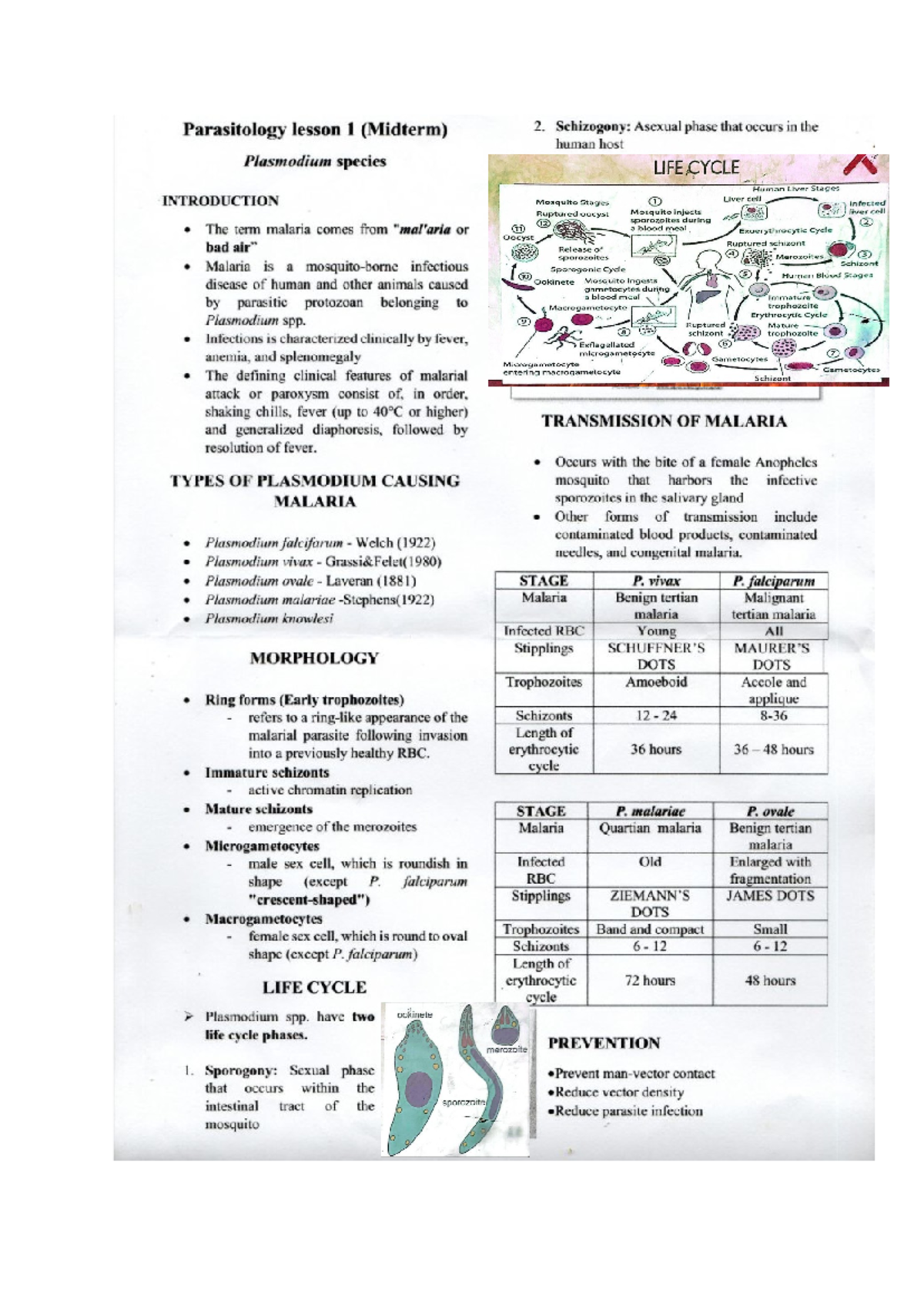 Midterm lesson 1 - PARASITOLOGY - Medical Technology - Studocu