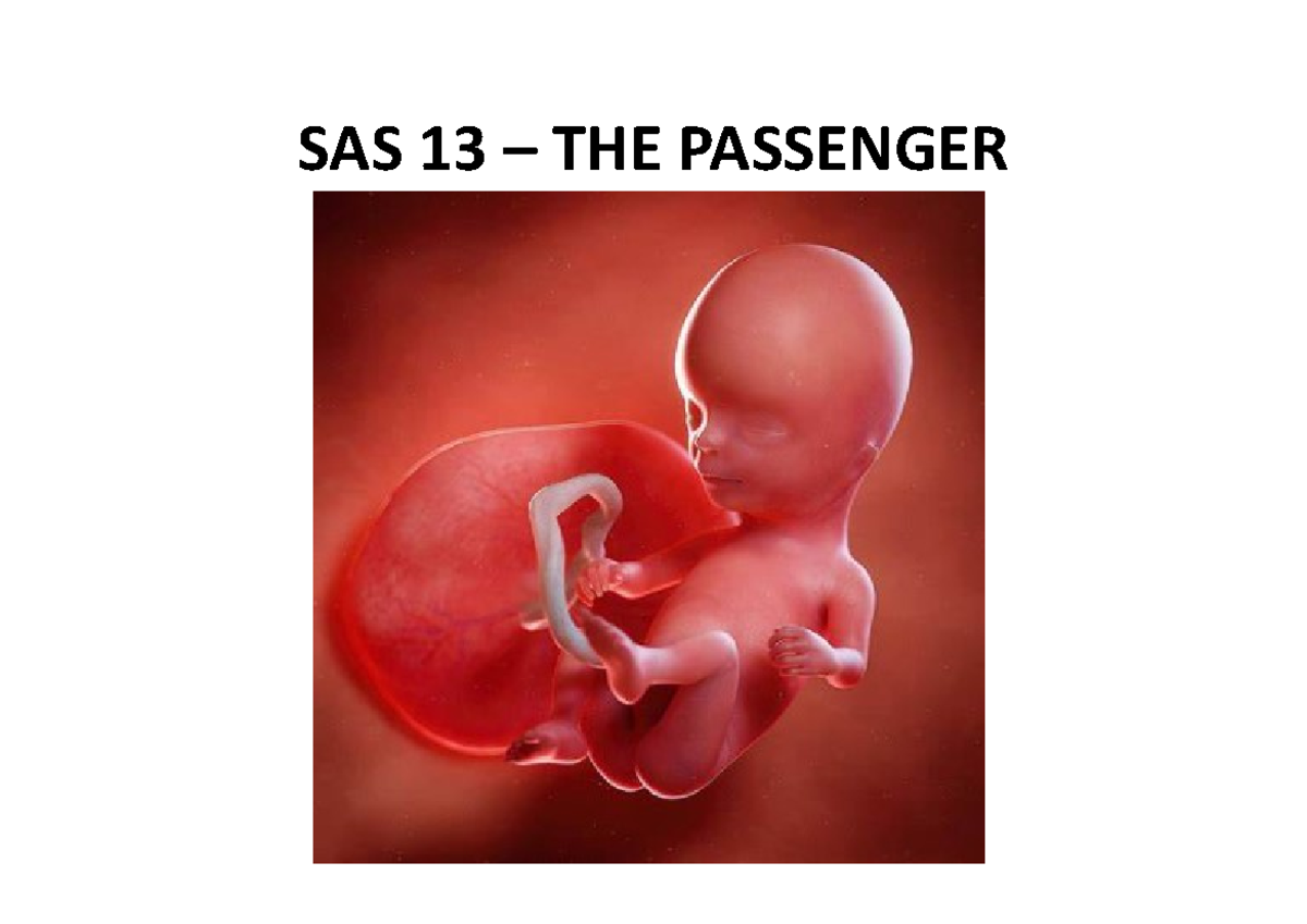 MCN 1 Review PDF - SAS 13 – THE PASSENGER SAS 14 – POWER, PSYCHE & POSITION SAS 16 – STAGES OF ...