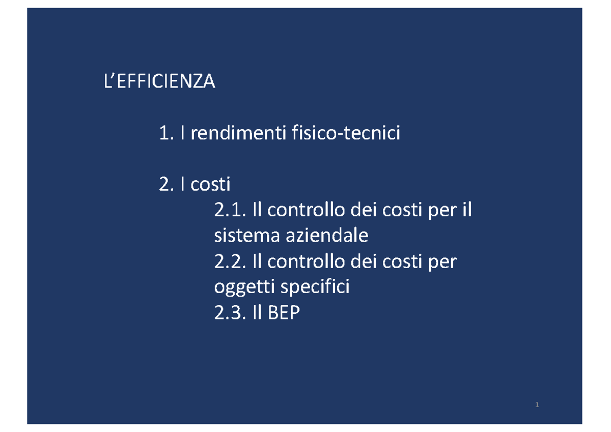 EA 5. L efficienza - L’EFFICIENZA 1. I rendimenti fisico-tecnici 2. I ...