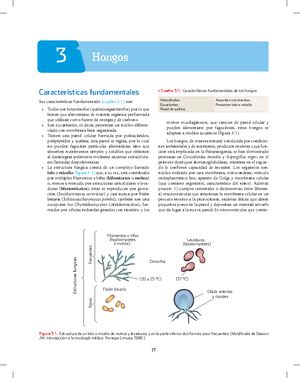 Dermatomicosis 2022 - Diapositivas - | DERMATOMICOSIS UNIVERSIDAD DE ...