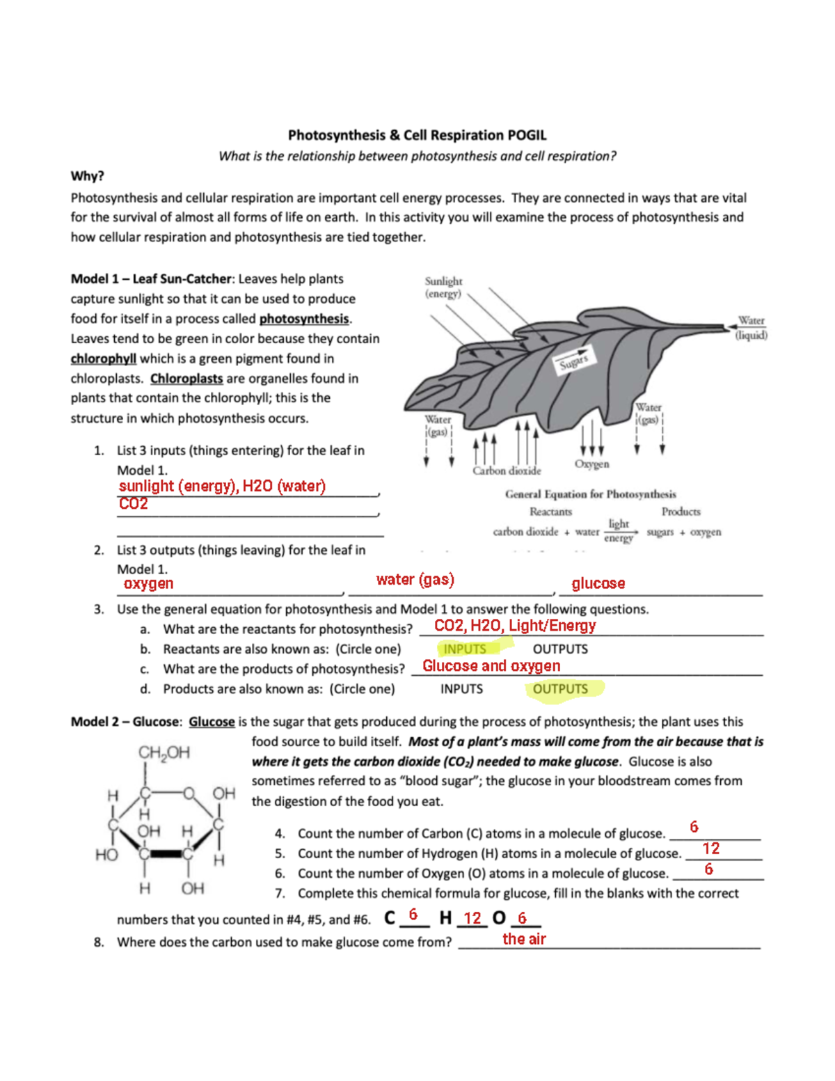 Photosynthesis and respiration comparsion-1 - sunlight (energy), H2O ...