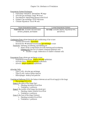 Physio chapter 14 - Blood Distribution at Rest: Pulmonary Circulation ...